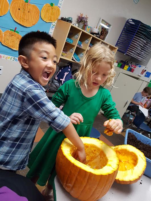 Project Based Learning • Chico Country Day School